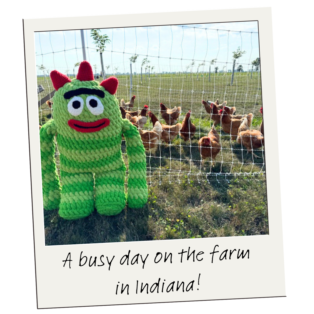 Brobee's BIG Adventure! – Official Yo Gabba Gabba Store