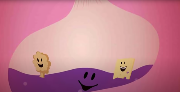 Watch – Official Yo Gabba Gabba Store